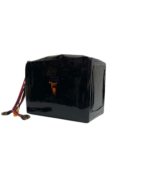 98V 'Deimos 98' Battery Upgrade for RZ - Powerful Lithium | Ultimate ...