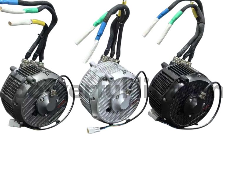 Sotion FW01 High-Power Motor for Sur-Ron Light Bee - POWERFUL LITHIUM