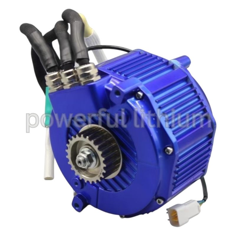 Sotion FW01 High-Power Motor for Sur-Ron Light Bee - POWERFUL LITHIUM