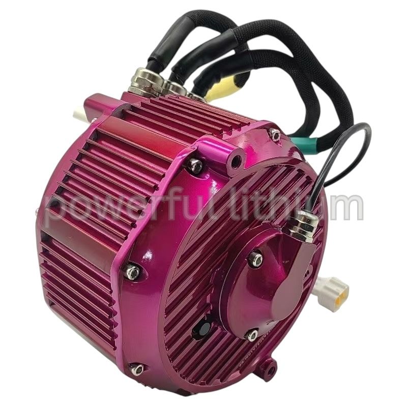 Sotion FW01 High-Power Motor for Sur-Ron Light Bee - POWERFUL LITHIUM