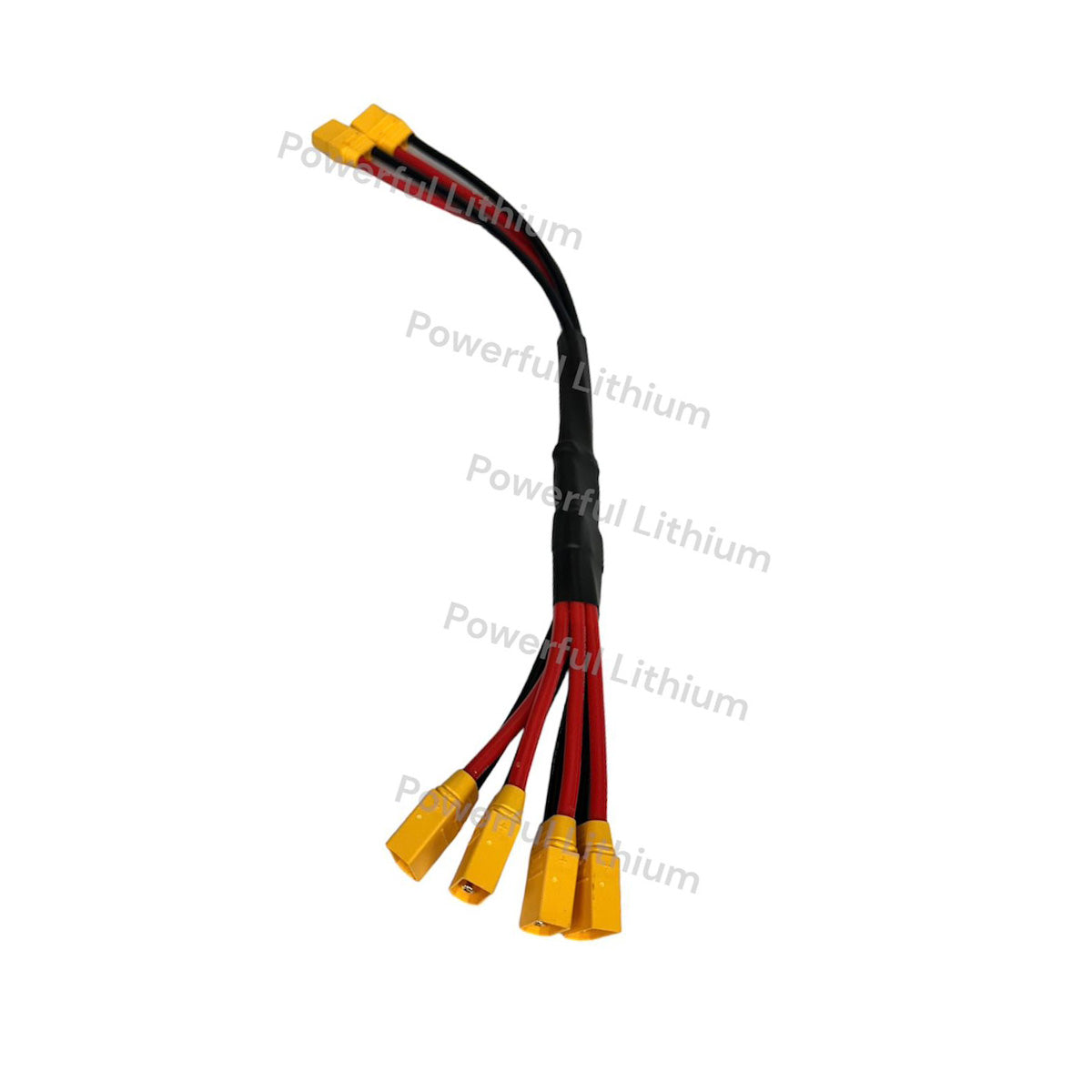 60V 'Elysium' Battery Upgrade for EMOVE RoadRunner Pro | Ultimate ...